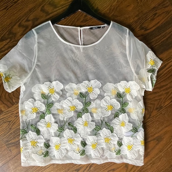 Iconic | Tops | Iconic Sheer Embroidered Blouse | Poshmark